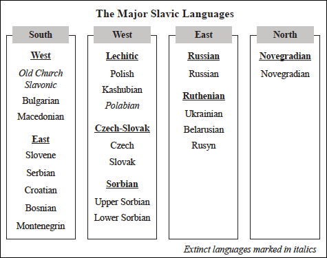 Grammar of the Novegradian Language — Background